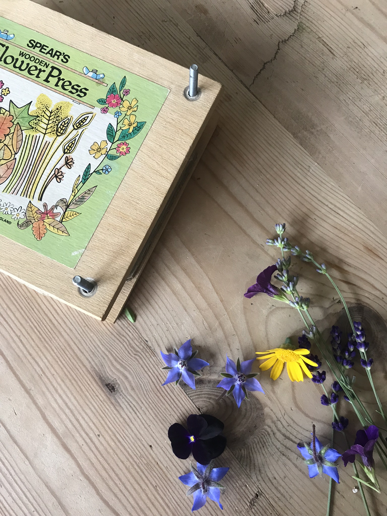 Preserving Flowers - three ways to remember the summer garden