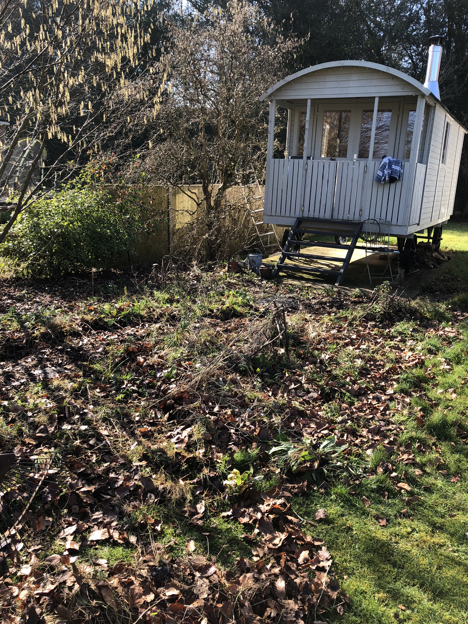 Beautiful Belle and The Cottage Garden - Part One