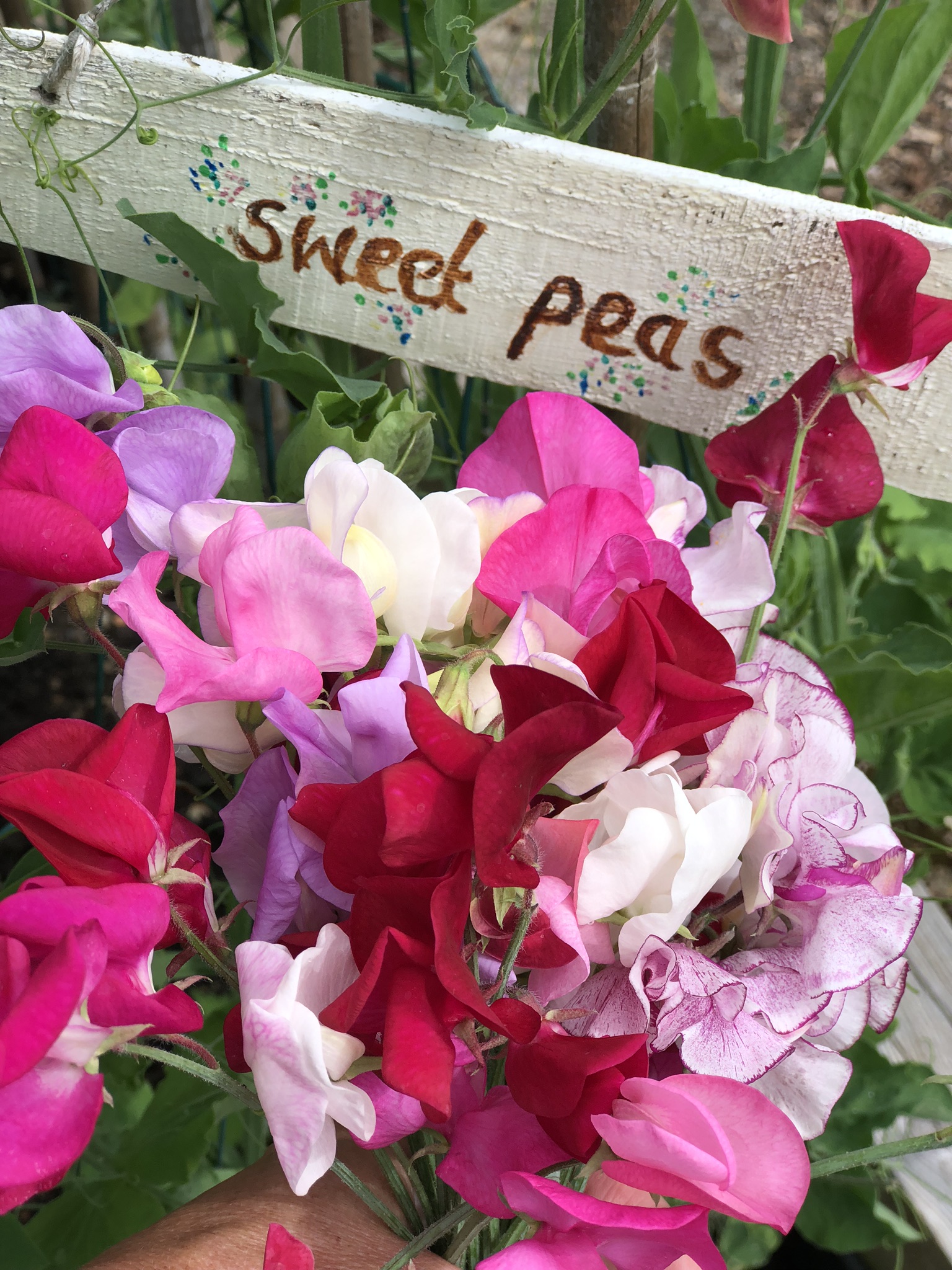 Slate Plant Markers - an easy craft for the flower beds